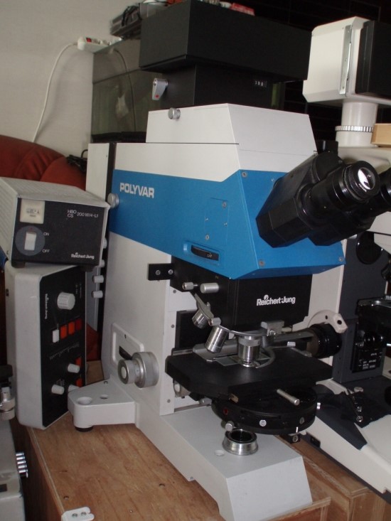 RECHERT POLYVAR Microscope-형광.위상차,생물현미경 : 네이버 블로그