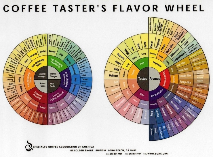 빙글 빙글~ 맛의 수레바퀴! SCAA Flavor Wheel를 소개합니다! : 네이버 블로그