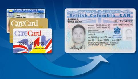 (밴쿠버) BC주 의료보험 MSP(Medical Service Plan) 신청하기 : 네이버 블로그