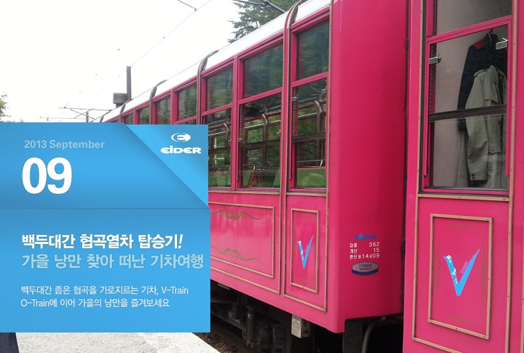 [O트레인과 V트레인] 백두대간 협곡열차 브이트레인(V-Train)과 함께 하는 가을 기차여행 추천! : 네이버 블로그