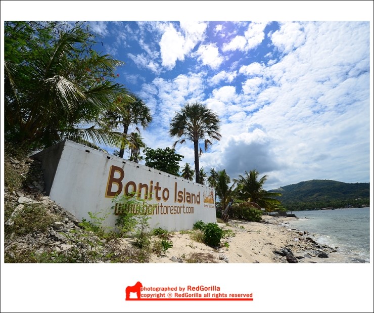 보니또 아일랜드 (Bonito Island) : 네이버 블로그