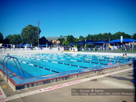 D+124 브리즈번 워홀러 @ 브리즈번 첨사이드 수영장 (시티 풀)/Brisbane Chermside Aquatic ...