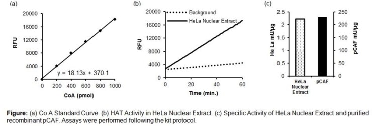 [HAT 활성 분석/측정 키트] HAT Activity Fluorometric Assay Kit [K334-100 ...