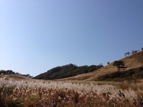 명성산 억새축제오르기 : 네이버 블로그
