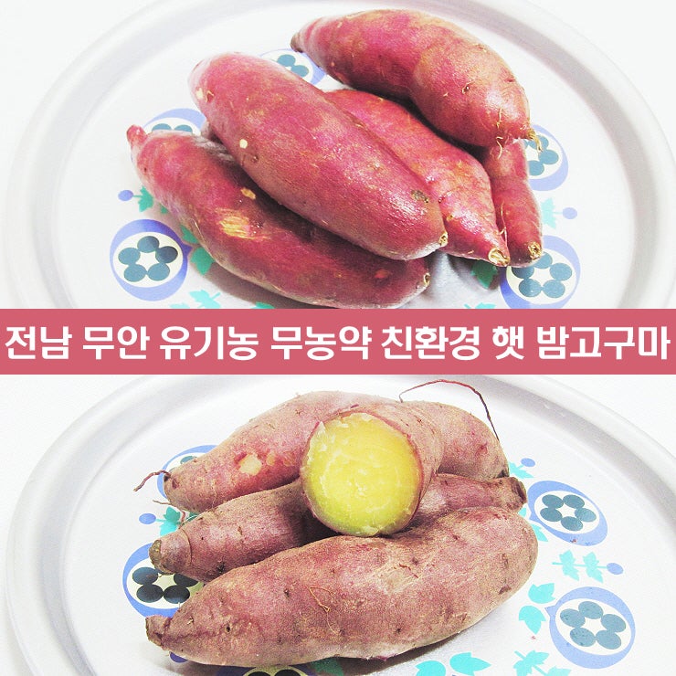 전남 무안 등대유기영농조합법인 유기농 무농약 친환경 햇밤고구마 밤고구마효능 고구마 효능 밤고구마다이어트 밤고구마찌는법