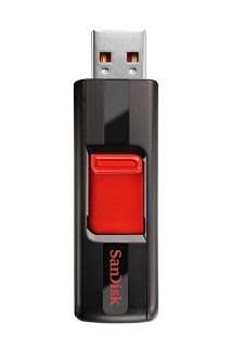 usb메모리 SanDisk Cruzer CZ36 32 GB USB Flash Drive (SDCZ36-032G)/샌디스크 USB ...