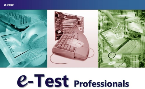 E-Test professional 후기 : 네이버 블로그