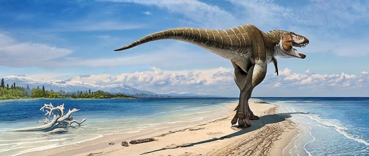 신종 육식 공룡,학명 리트로낙스(Lythronax argestes) : 네이버 블로그