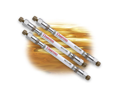 Thermo scientific Hypersil GOLD C18 Columns : 네이버 블로그