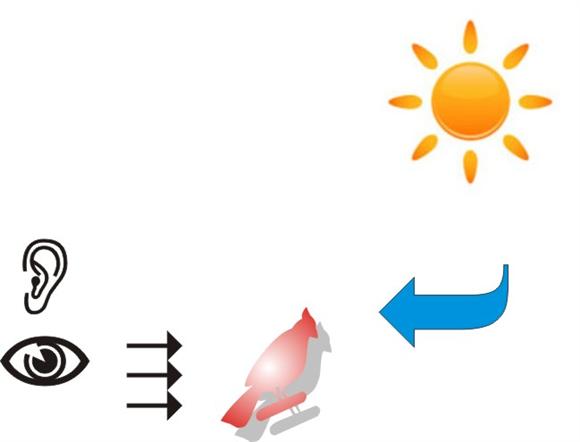태양의 비유The Metaphor of the Sun : 네이버 블로그