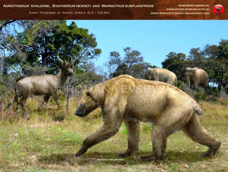 아그리오테리움과 메기스토테리움에 대하여 ;Agriotherium, Megistotherium osteothlastes : 네이버 블로그