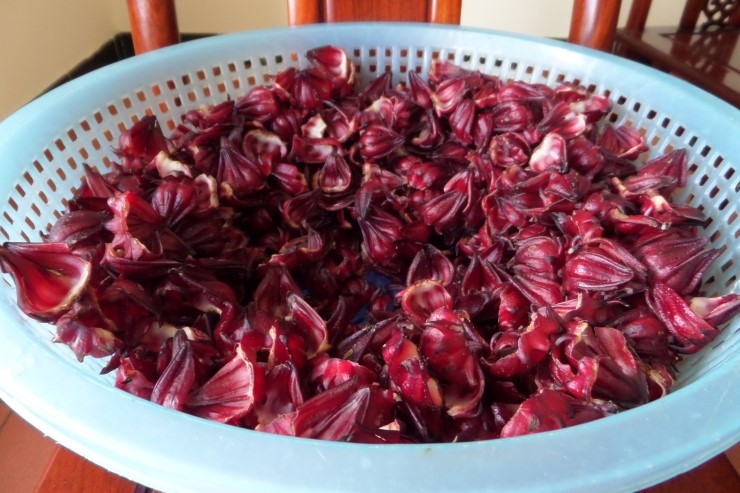 타오가 '아티소 차(茶)'를 선보이다 (Thao's atiso tea) : 네이버 블로그