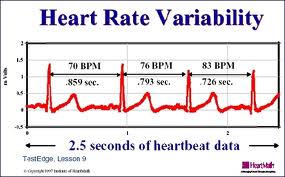 Heart rate variability, 심박변이 : 네이버 블로그