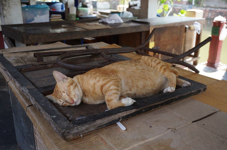 D+91 완탕,김밥만들어먹기,야시장구경 : 네이버 블로그