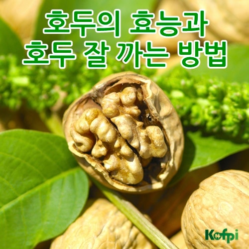 호두의 효능과 호두 잘 까는 방법 : 네이버 블로그