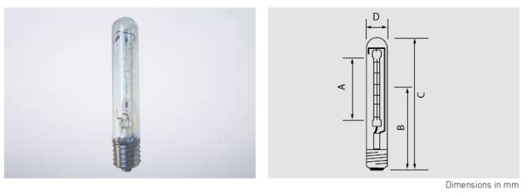 Halogen Double Envelope (HDE lamps) 할로겐 백열 램프 : 네이버 블로그
