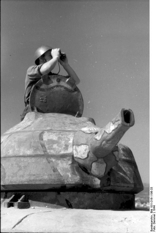 마지노선의 자라 주둥이 모양 기관총 토치카[Maginot Line Soft -Selled Turtle Mouse Type ...