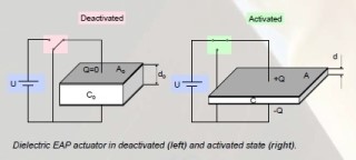 Electroactive Polymer (EAP) 전기활성 고분자에 대하여 : 네이버 블로그