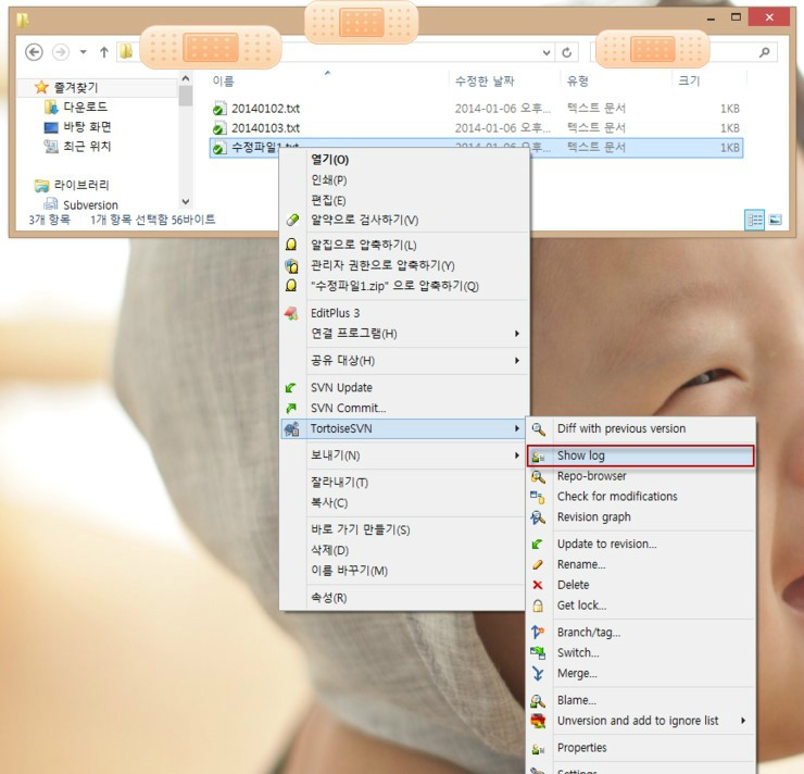 [SVN] SVN log 수정하기 (with TortoiseSVN) + SVN 서버 설정 : 네이버 블로그