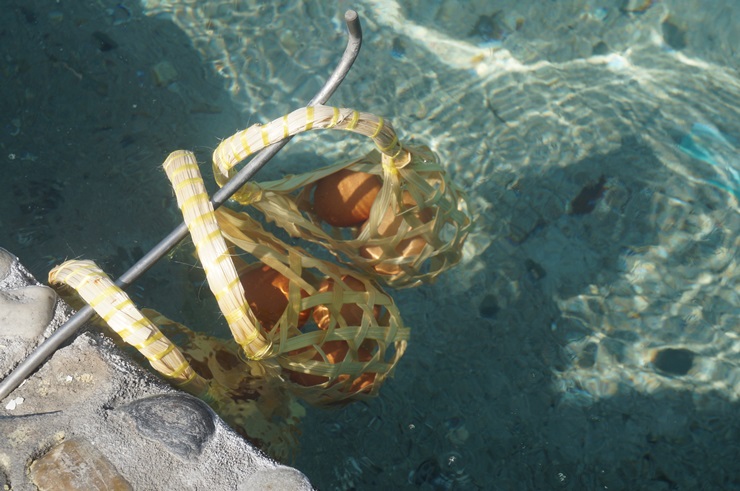 D+125 성태우타고 산캄팽온천 다녀오기 : 네이버 블로그