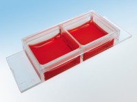 μ-Slide 2 well : 네이버 블로그