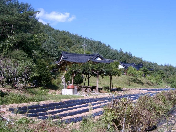 홍천전원주택급매물 ※ 강원도전원주택급매물 홍천부동산급매물 홍천토지 홍천땅 홍천임야 홍천토지투자 전문중개업소 네이버 블로그