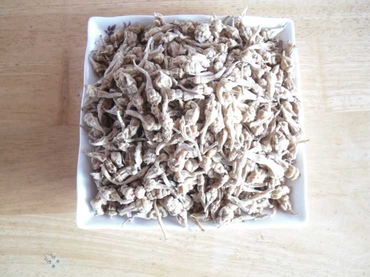 초석잠판매,치매약초 판매,치매약초 초석잠판매 : 네이버 블로그