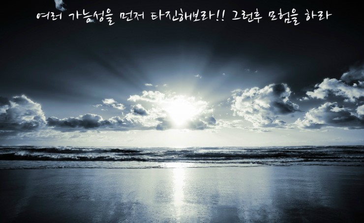 명언모음집 '도전과 실행'에대해 포스팅 : 네이버 블로그