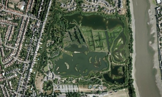 WWT London wetland centre(런던습지센터) 사이버 탐방 ㅋㅋ : 네이버 블로그