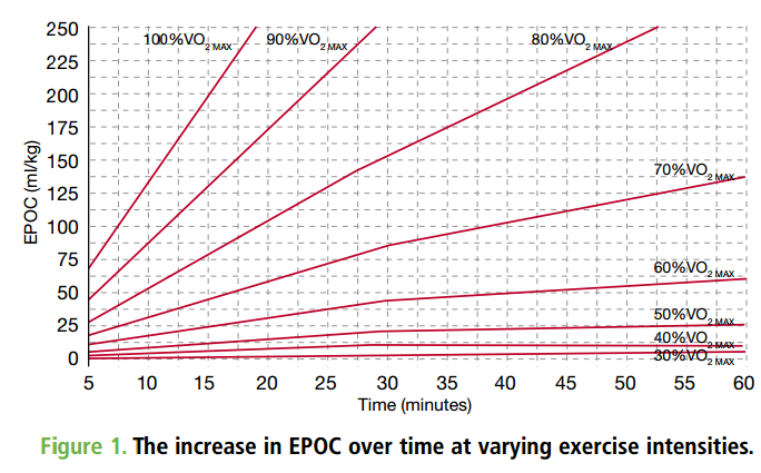 EPOC의 활용 : 네이버 블로그