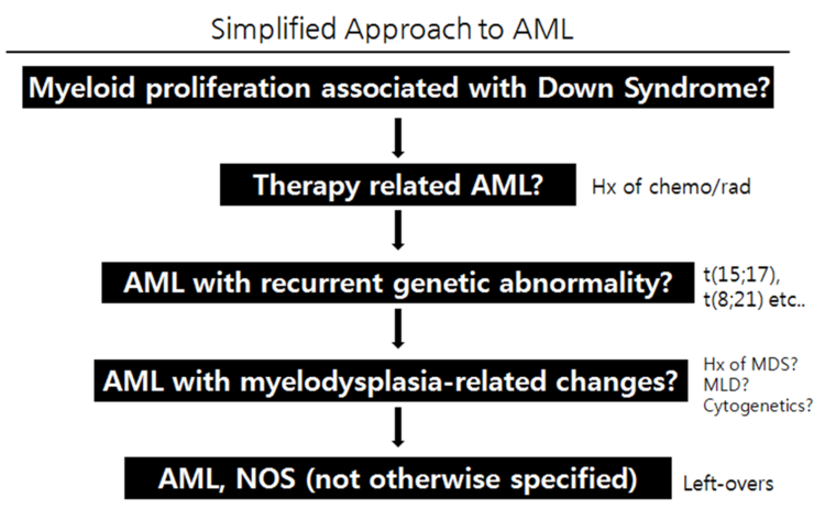 AML(급성 골수성 백혈병, Acute Myeloid leukemia)의 진단 Approach : 네이버 블로그