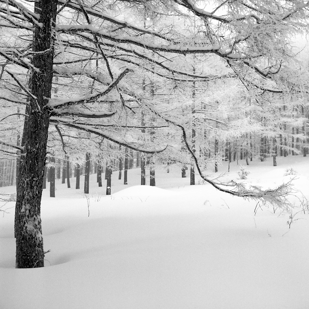 핫셀 903swc hasselblad 903swc 중형카메라 흑백사진 : 네이버 블로그