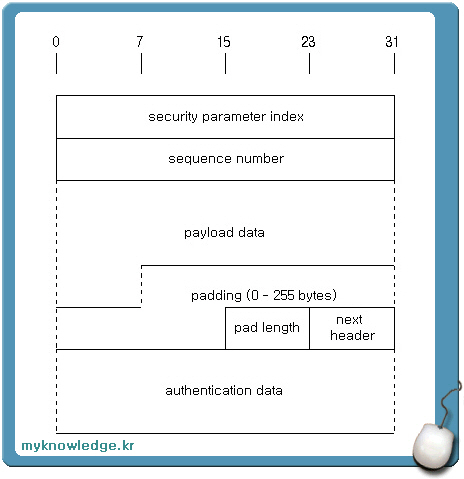 ESP(Encapsulating Security Payload) : 네이버 블로그