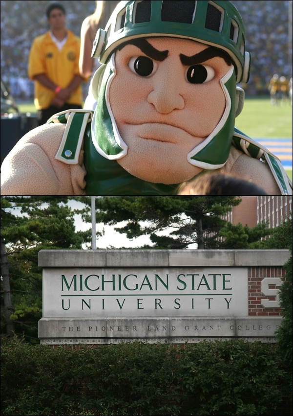 포장학(Packaging Science)및 Packaging Design-Michigan State University, RIT ...