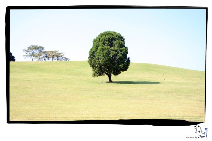 쮸니와 함께한 올림픽공원이야기 : 네이버 블로그