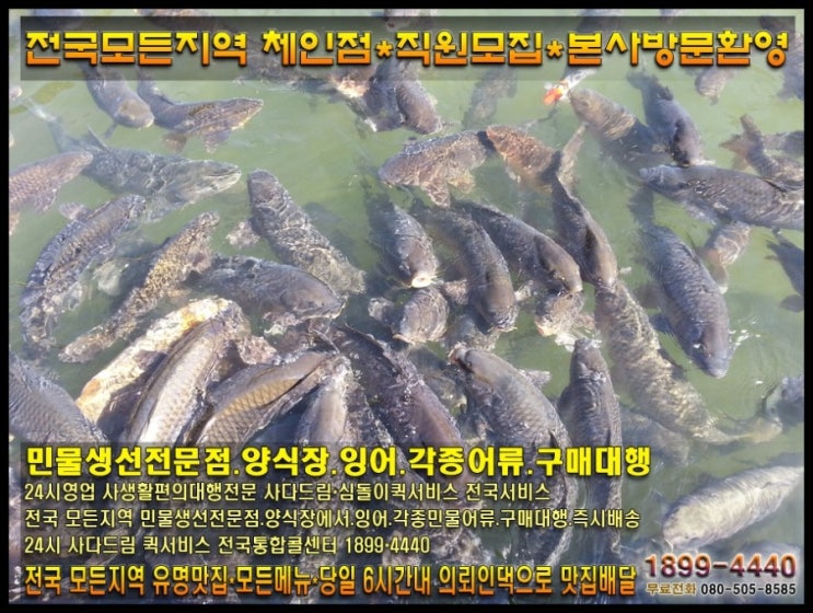 남양주 구리 퀵서비스 배달 이용방법 24시영업 사다드림심돌이퀵서비스양식장에서잉어각종민물어류구매대행24시간 서비스