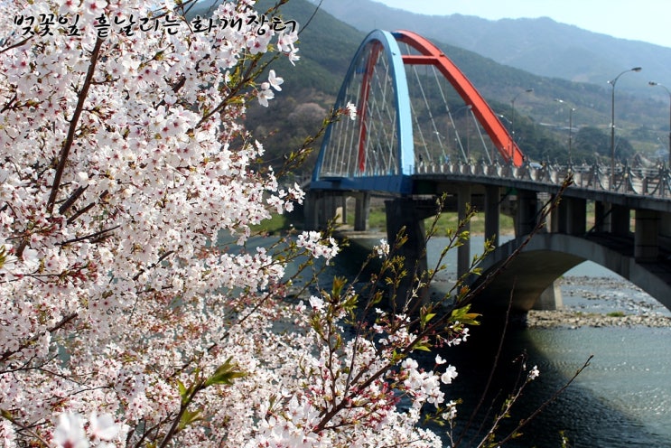 하동 화개장터 : 네이버 블로그
