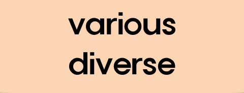 various VS diverse : 다양함에 차이점이 있을까? : 네이버 블로그