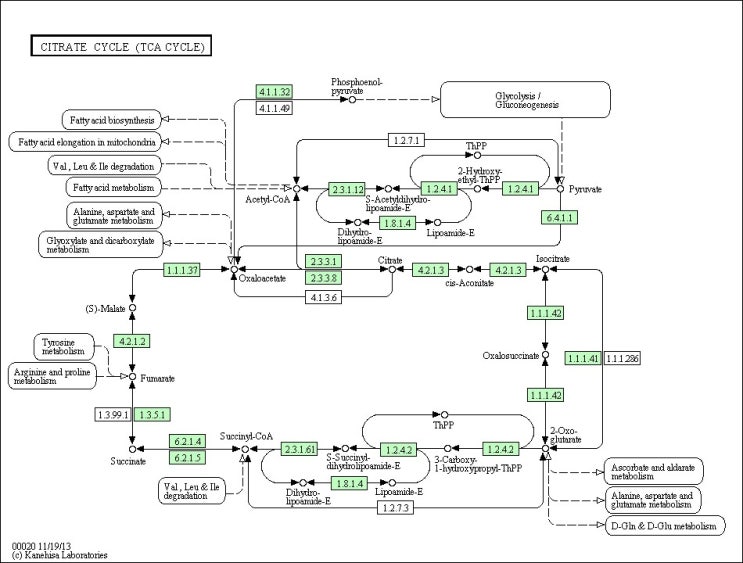 Biological pathway - Database : 네이버 블로그