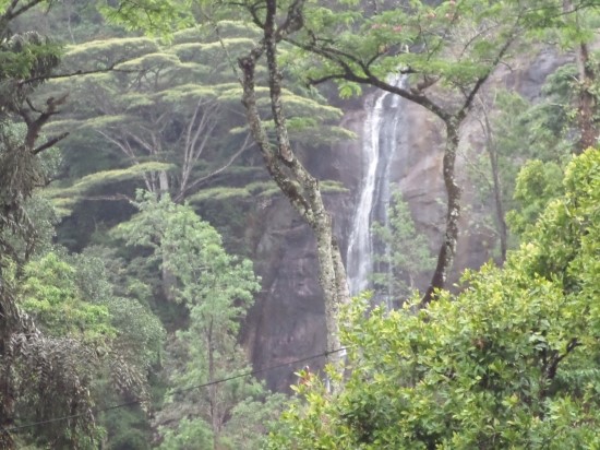 스리랑카 캔디 북쪽의 후나스 폭포 Hunas Falls : 네이버 블로그