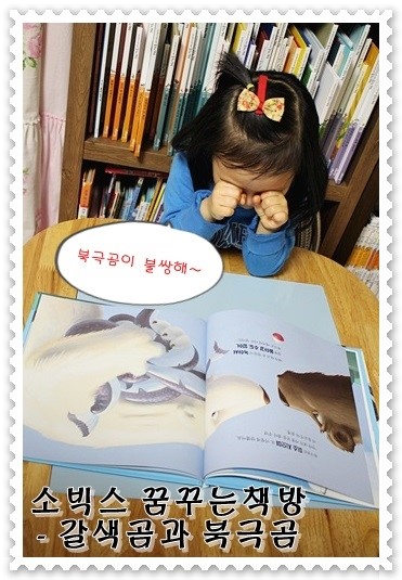 어린이창작동화 꿈꾸는책방 갈색곰과 북극곰 북극곰이 불쌍해요 네이버 블로그