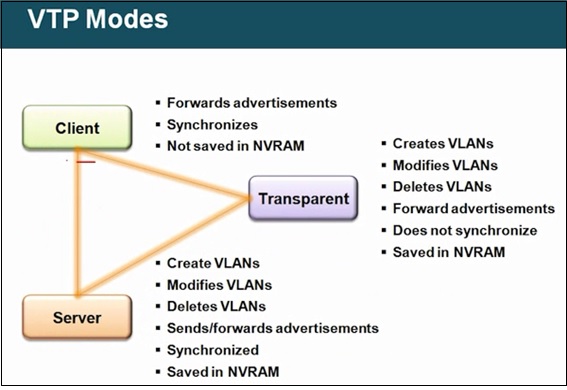 VTP (VLAN Trunk Protocol) : 네이버 블로그