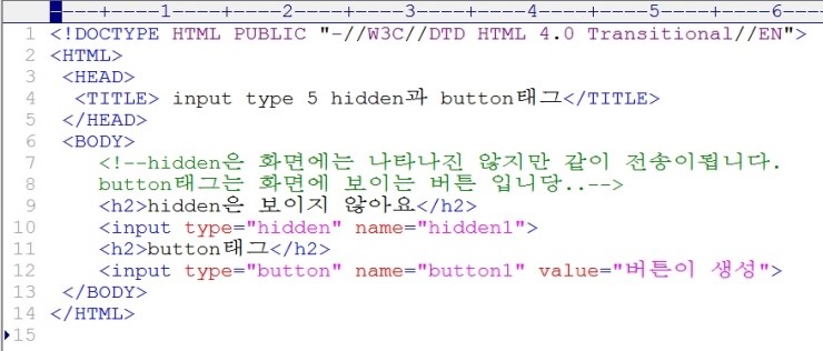 HTML - input type 5번 hidden 태그와 button태그 : 네이버 블로그