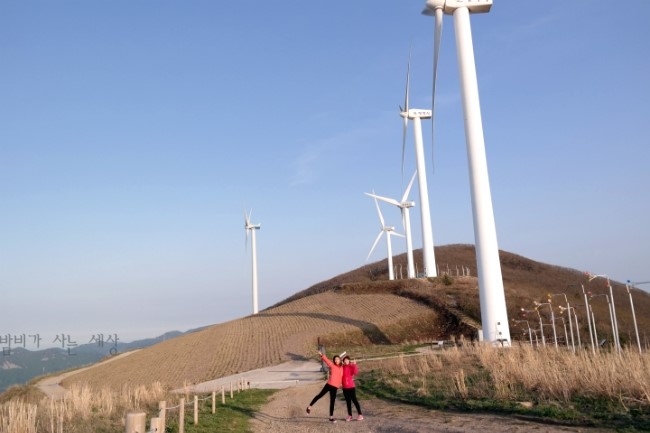 태백 매봉산 바람의 언덕 풍력발전단지 네이버 블로그