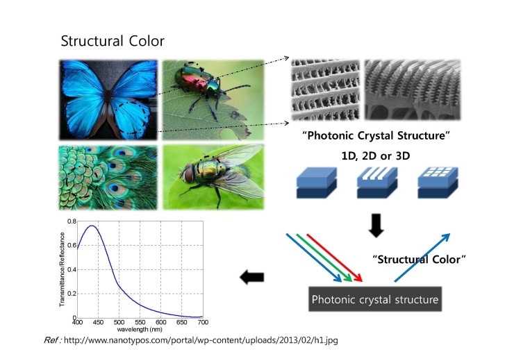 Structural Color in CIE Diagram : 네이버 블로그