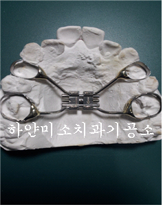 Hyrax(RPE) : 네이버 블로그