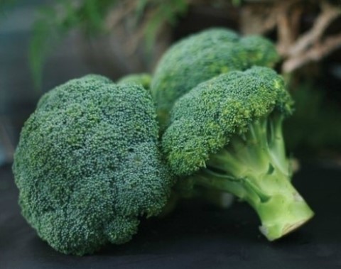 발레리나 강수진의 뷰티시크릿 브로콜리 : 네이버 블로그