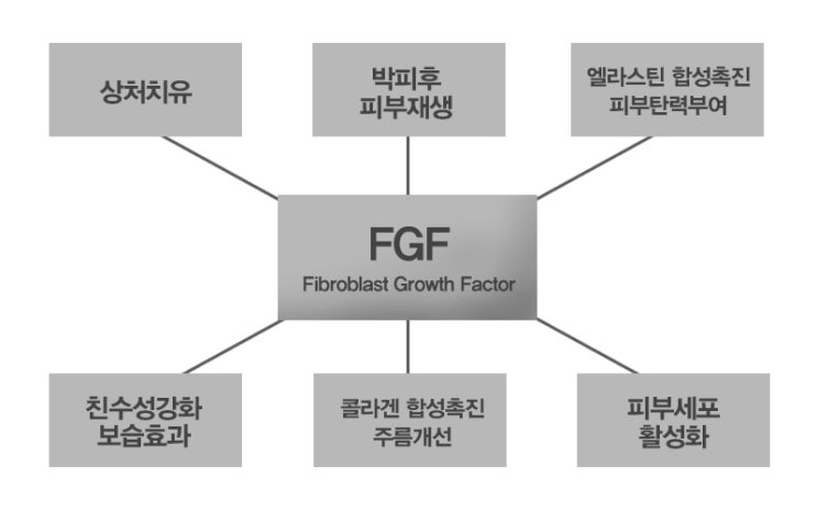 뷰티 MD와 함께하는 제품 간단취재 - FGF화장품의 모든것 (쎌쑤엥 FGF 얼티메잇 에센스 라이트) : 네이버 블로그