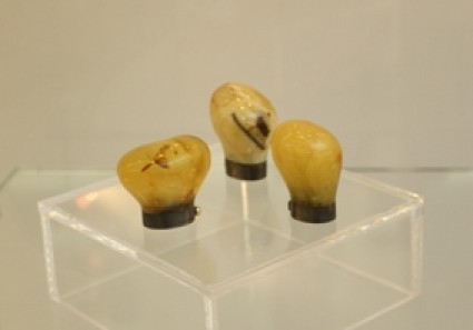 호박 보석의 구성은 PEPHA-CTIVE, 해조류 추출물 : 네이버 블로그