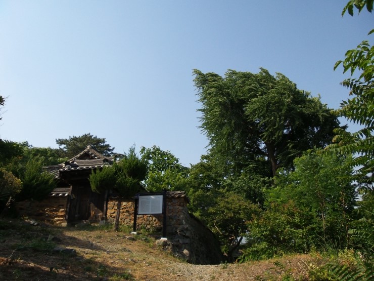 경상남도 밀양시 월연터널 용평 백송터널 영화똥개 월연정 추화산 봉수대 밀양아리랑길 3코스 밀양강 계란꽃 개망초 네이버 블로그